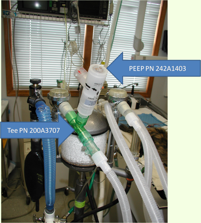 VASG Reverse PEEP Valve