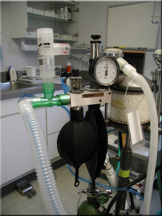 VASG Reverse PEEP Valve